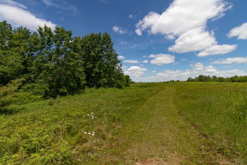 Mass Audubon - Wonderfund of Massachusetts